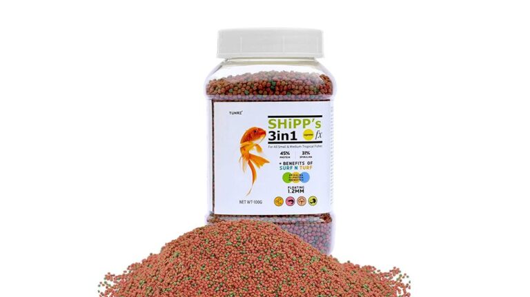 طرح توجیهی تولید خوراک آبزیان ☀️(word+pdf) سال 1404 - پرشین پلن